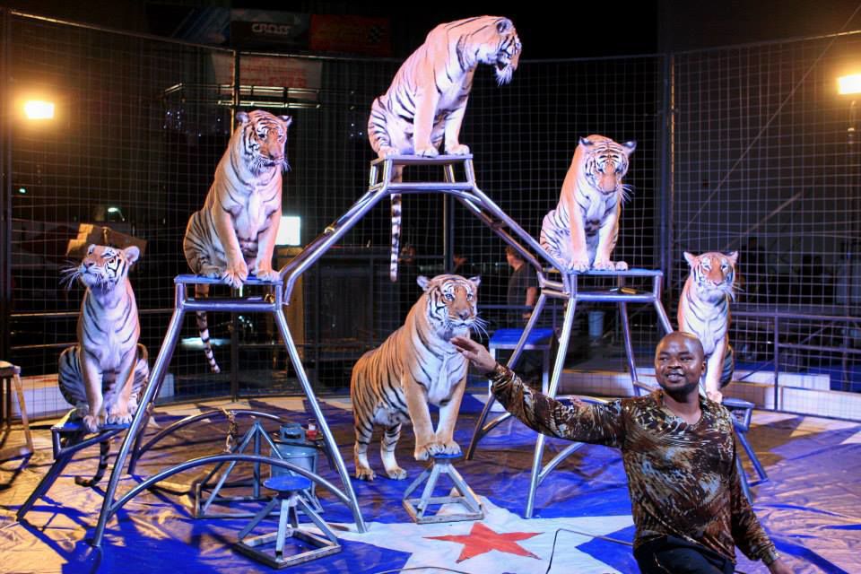 Red Dress Concert, writer’s conference, circus coming to Northern Utah ...